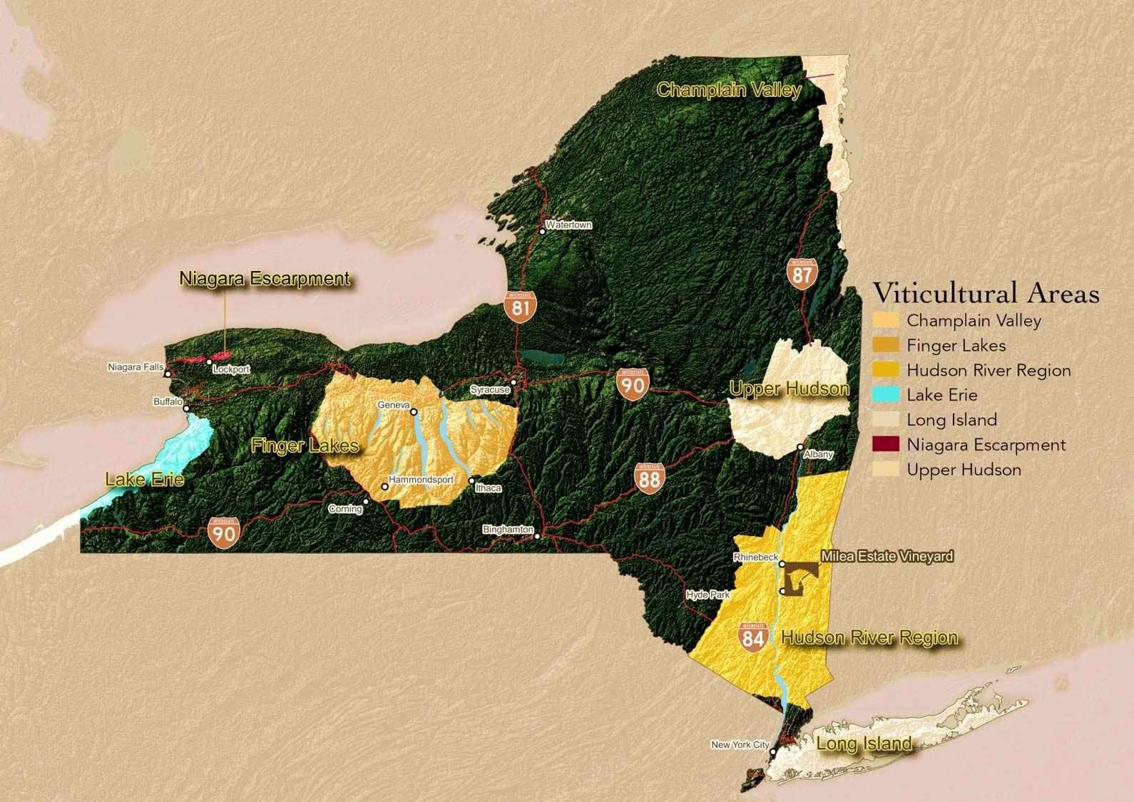 Vineyard - Milea Estate Vineyard