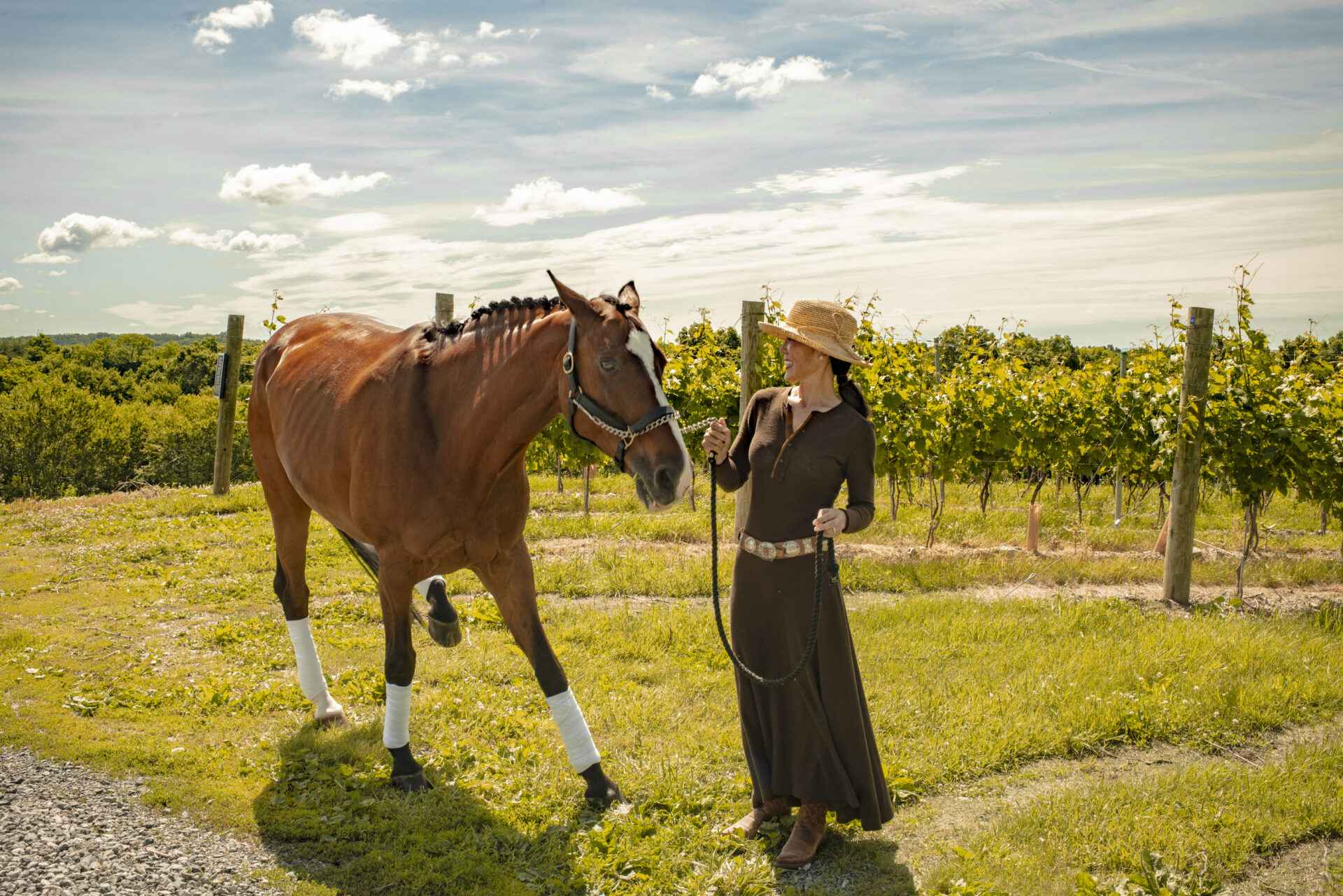 About Us - Milea Estate Vineyard